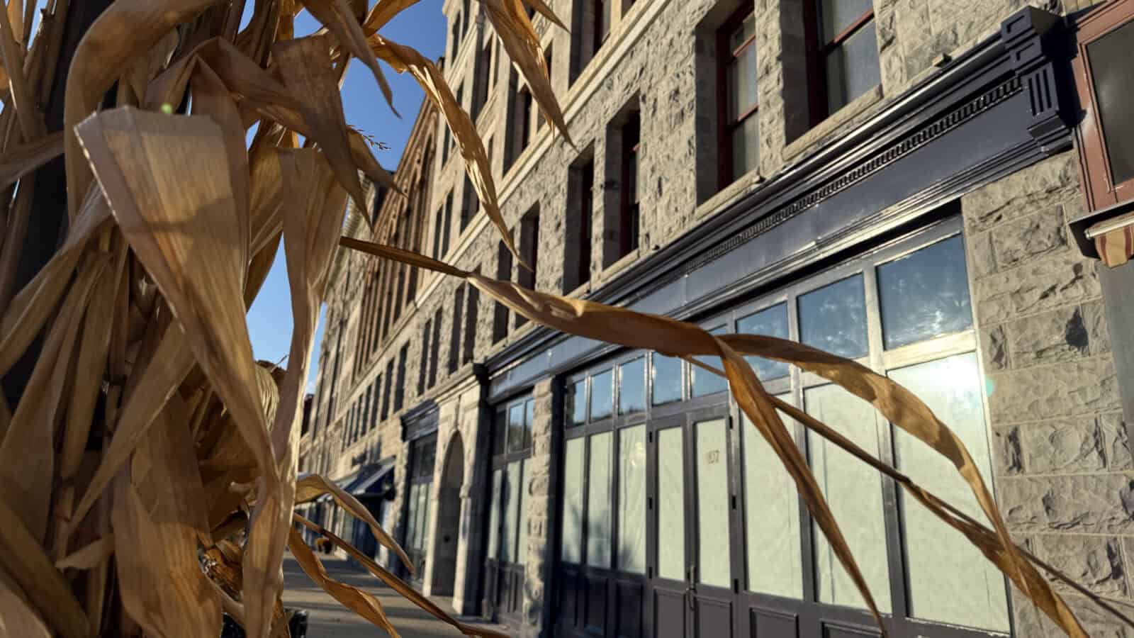 Winterlights at Naumkeag - BTW Berkshires